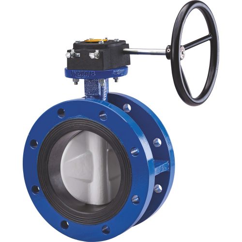 Leading DelVal Valve Distributor Malaysia: Your Source for Valves